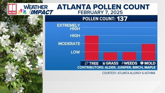Pollen count in Atlanta | 11alive.com