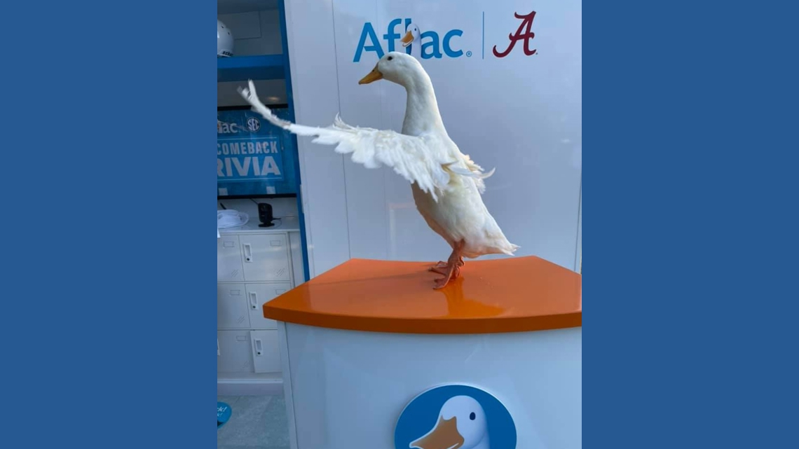 Rescued Georgia animals become unexpected movie stars at metro Atlanta ...