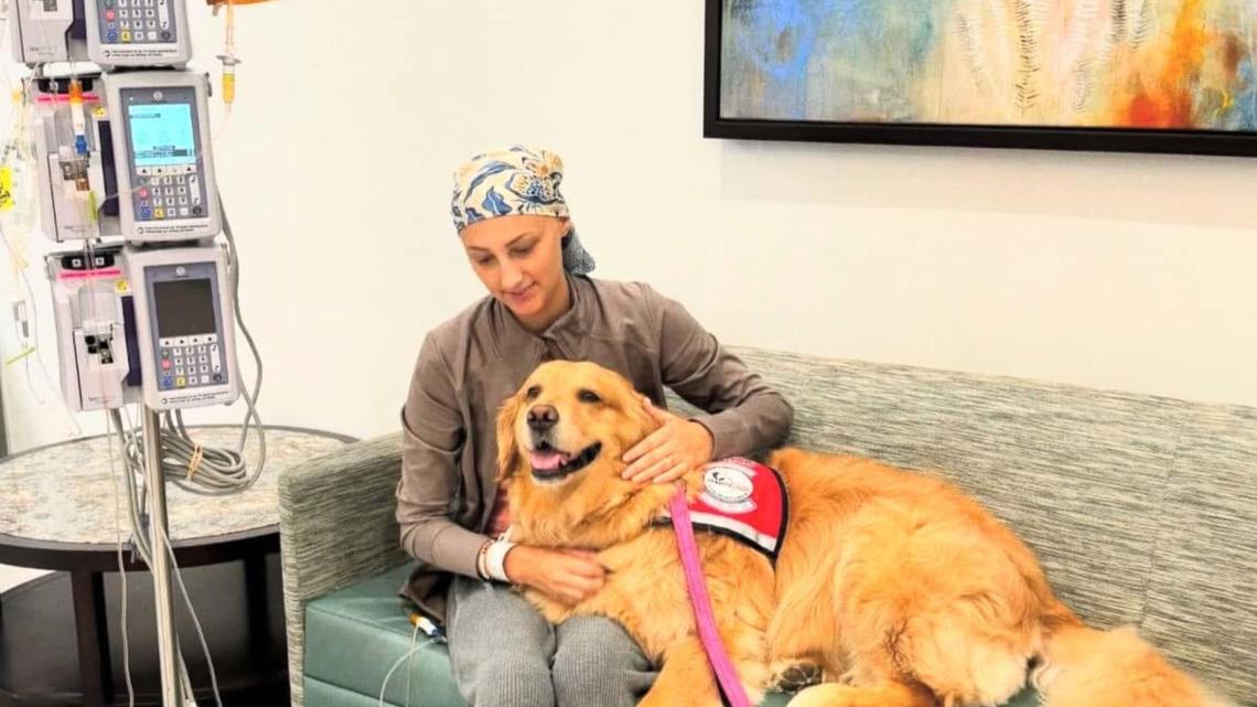 Therapy dog Gracie comforts cancer patient Sierra | 11alive.com
