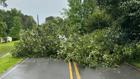 Atlanta, Georgia weather Tuesday, June 17 live updates | 11alive.com