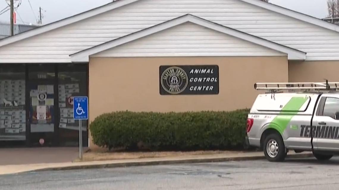 Clayton County Animal Control facing abuse allegations, investigation ...
