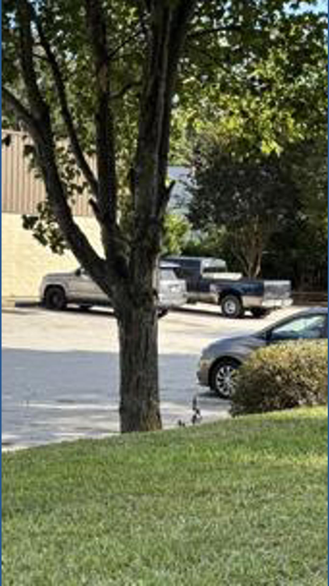 Woman speaks out after man punches her in face inside Dollar General ...
