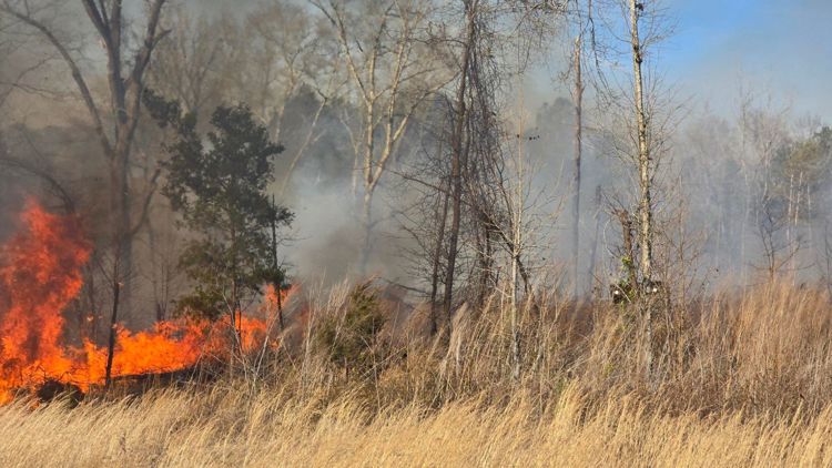 Where are the wildfires in Georgia | 11alive.com