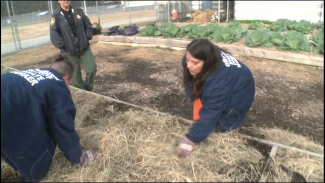 Planting hope through a jail garden program | 11alive.com