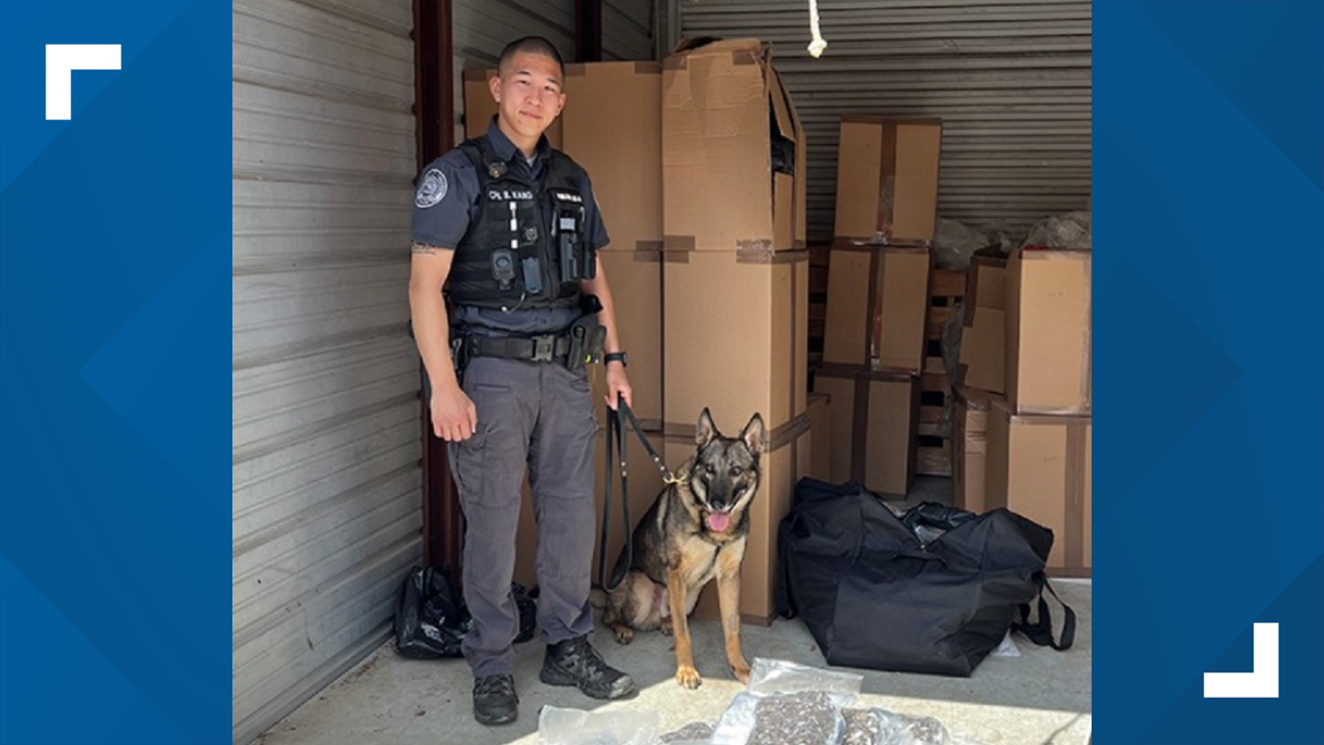 K9 drug bust in Duluth | 11alive.com