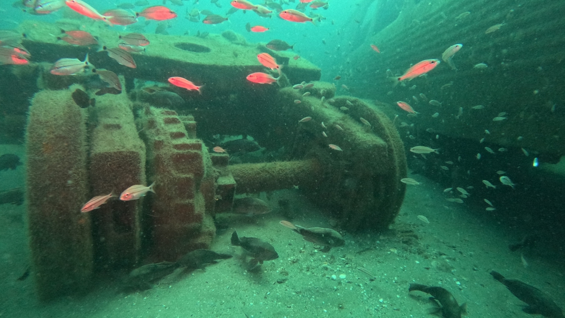 Video | MARTA rail cars repurposed into thriving underwater reefs ...
