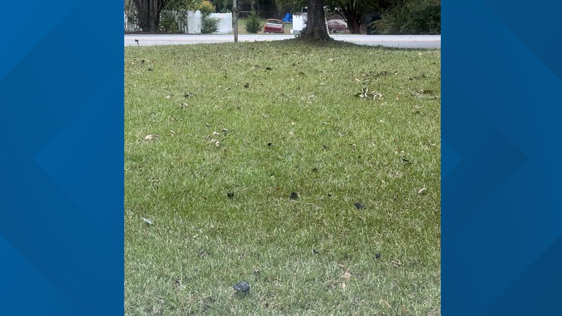 BioLab chemical fire in Conyers: Images, videos show dark smoke ...