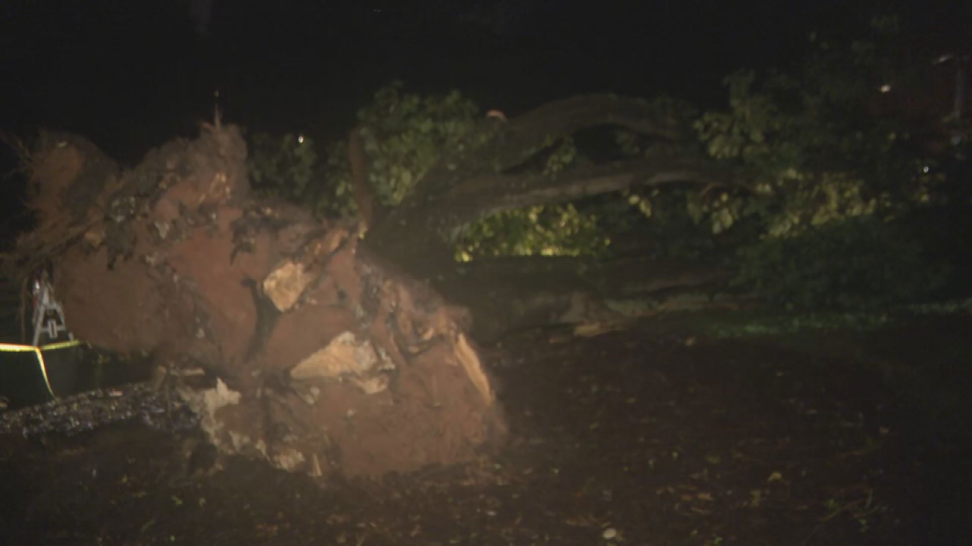 Storms, showers on Friday, June 27, 2025 in north Georgia | 11alive.com