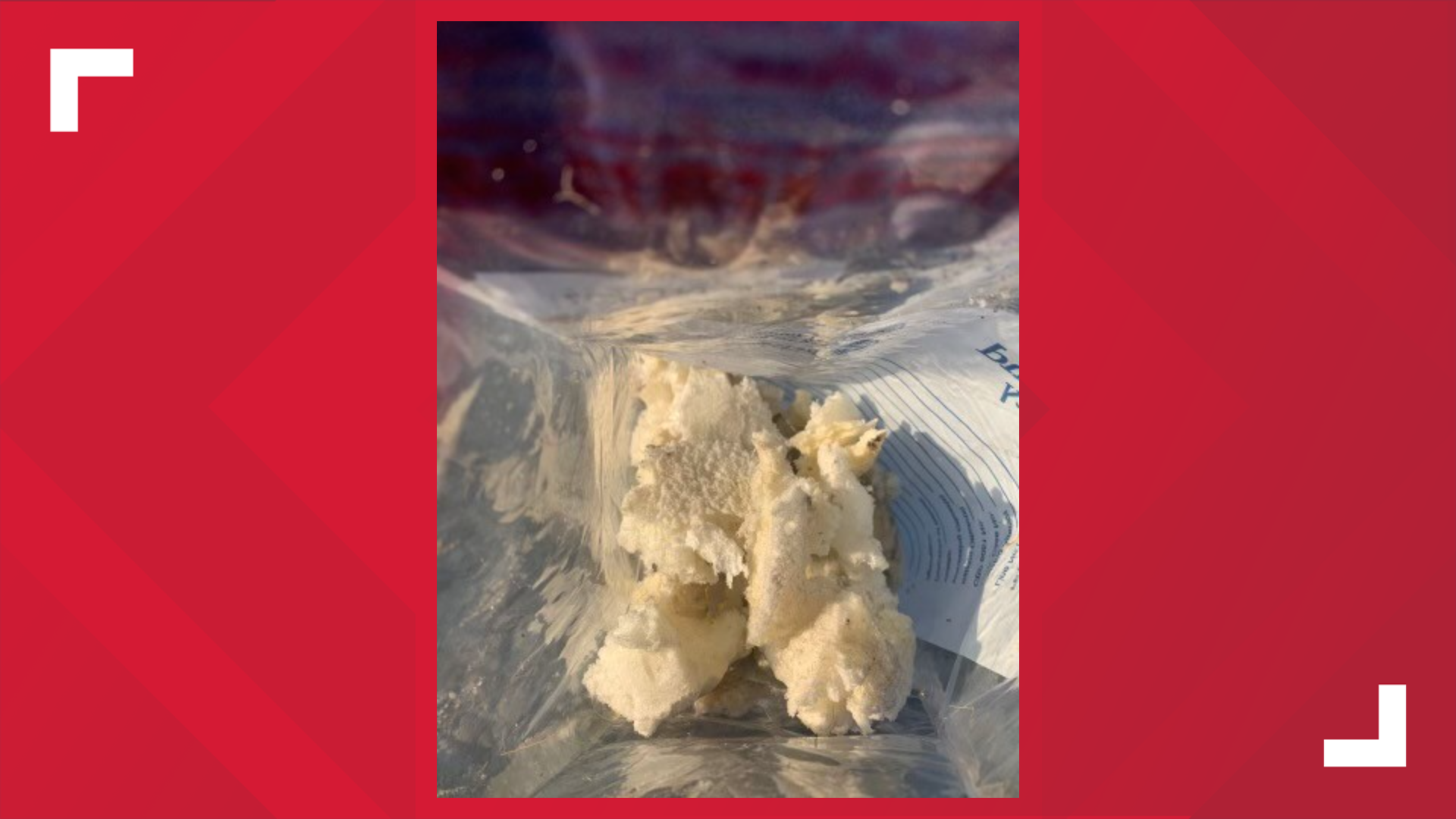 Covington, Georgia meth bust | 11alive.com