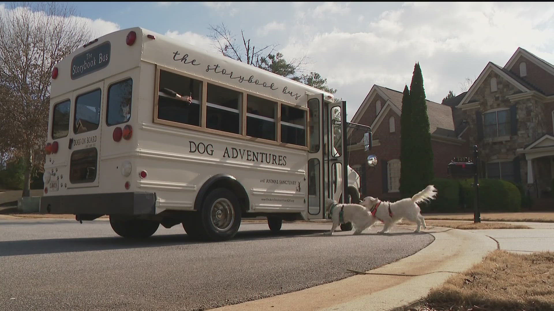 The Storybook Dog Bus turns heads, helps rescue dogs find fur-ever ...