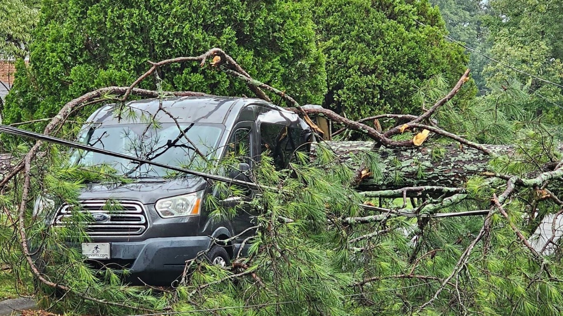 Tree splits van in half in DeKalb County | 11alive.com