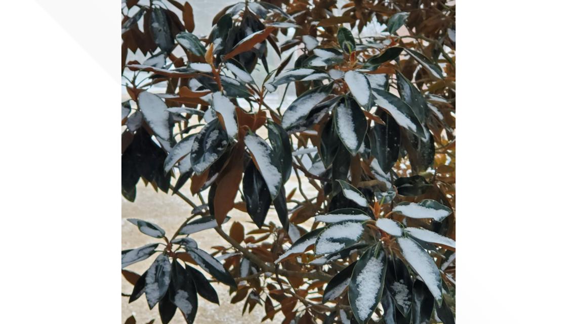 Photos of snow in Atlanta: Jan. 21, 2025 | 11alive.com