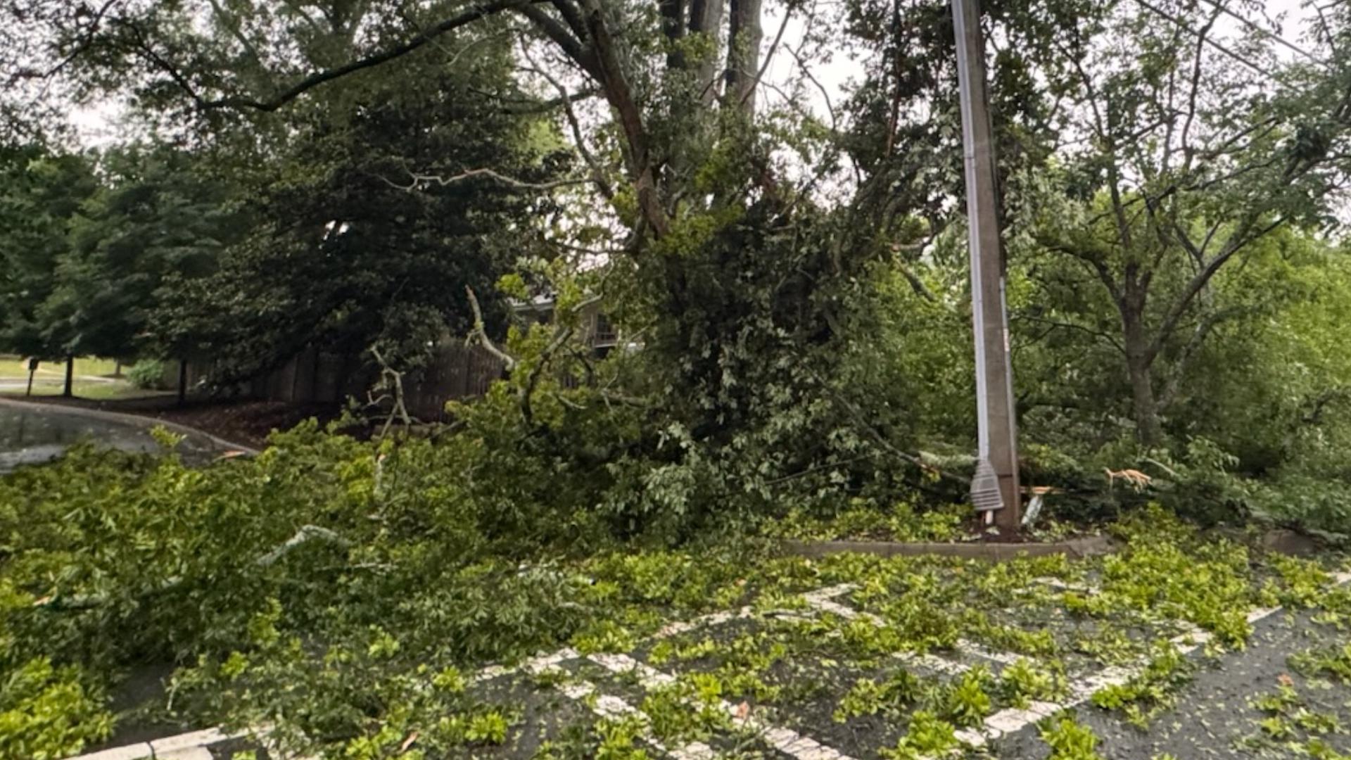 Tracking downed trees, power lines in north Georgia after storms ...