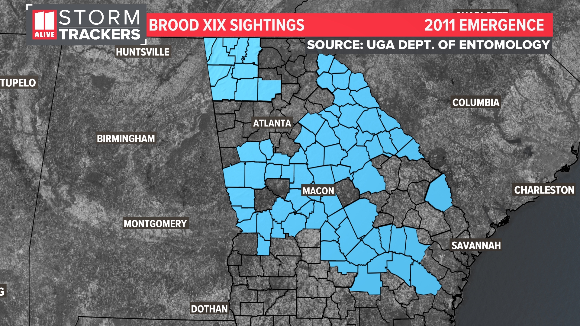 Where are the cicadas coming in Georgia 2024 | 11alive.com