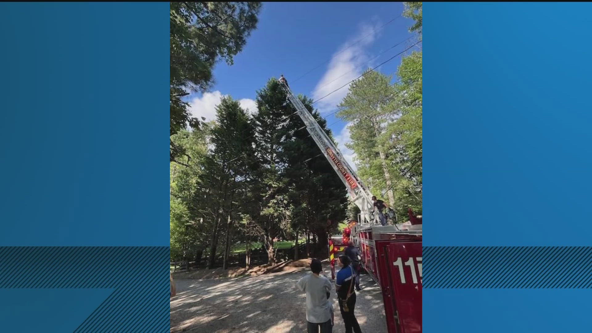 Firefighters rescue 6-year-old from 60-foot tree in Forsyth County ...