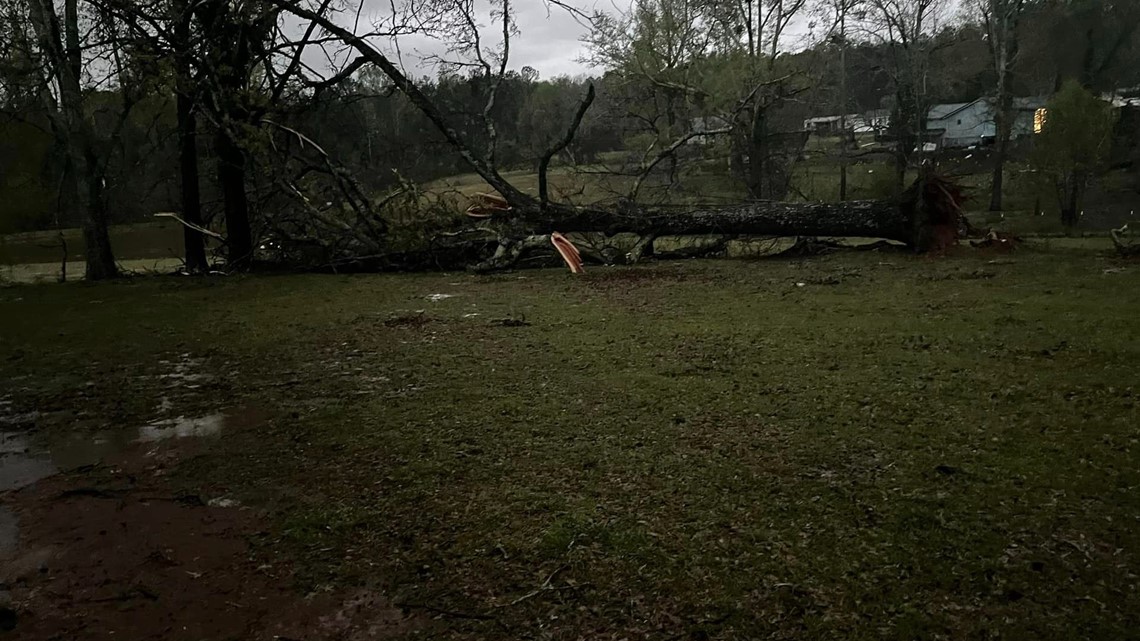 West Georgia storm damage | Photos and video | 11alive.com
