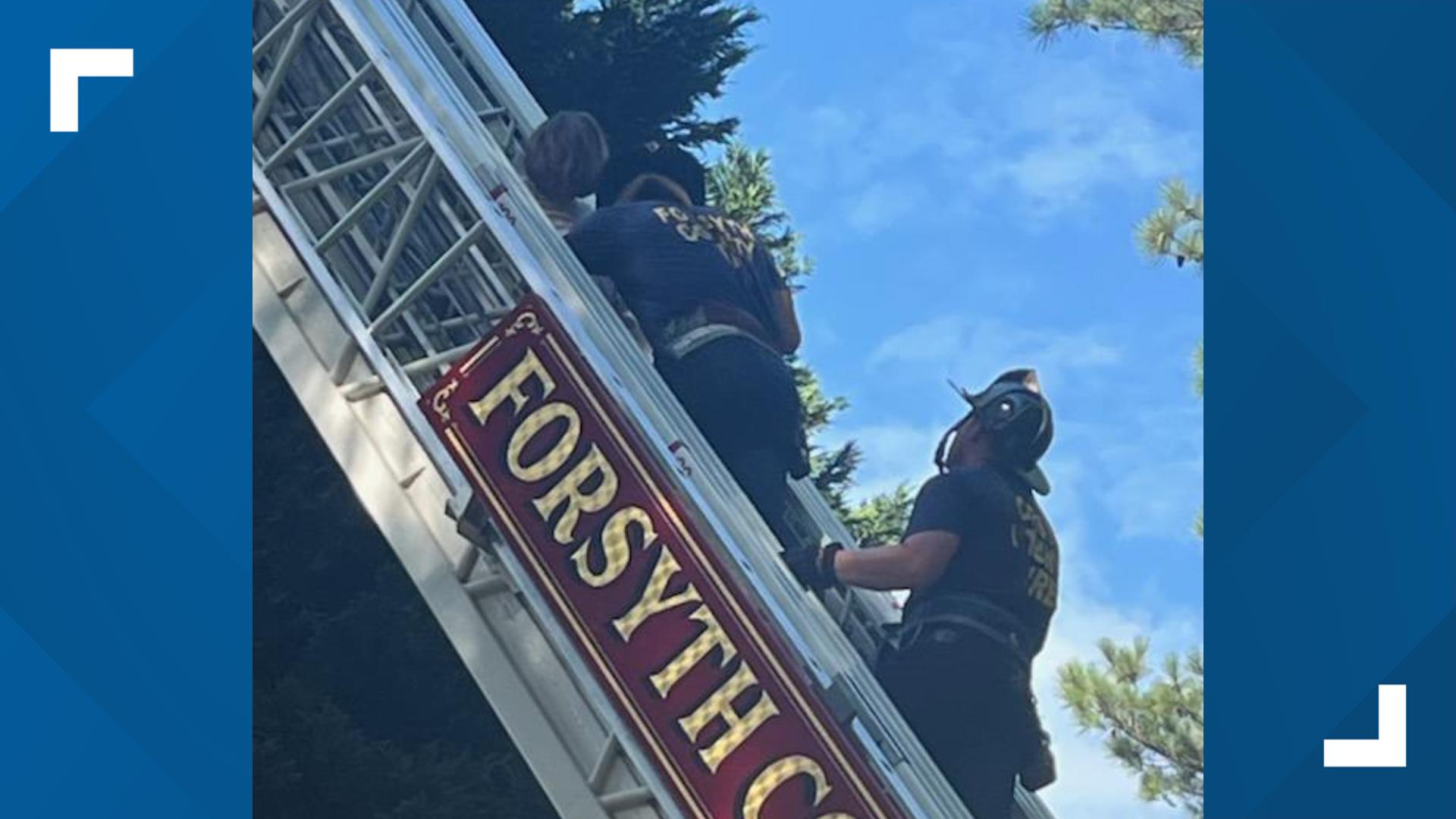 Firefighters rescue 6-year-old from 60-foot tree in Forsyth County ...
