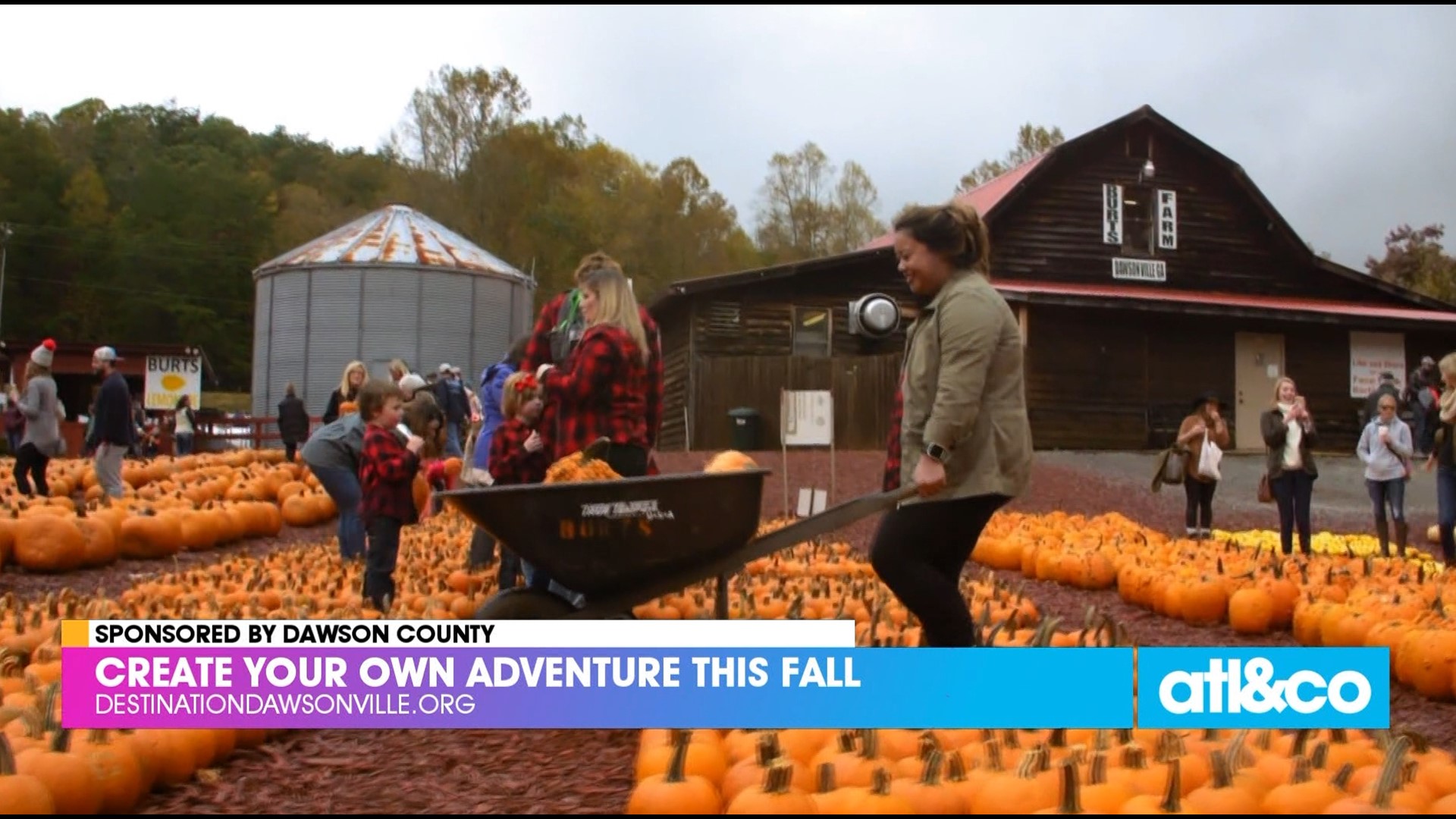 Burt's Pumpkin Farm | 11alive.com