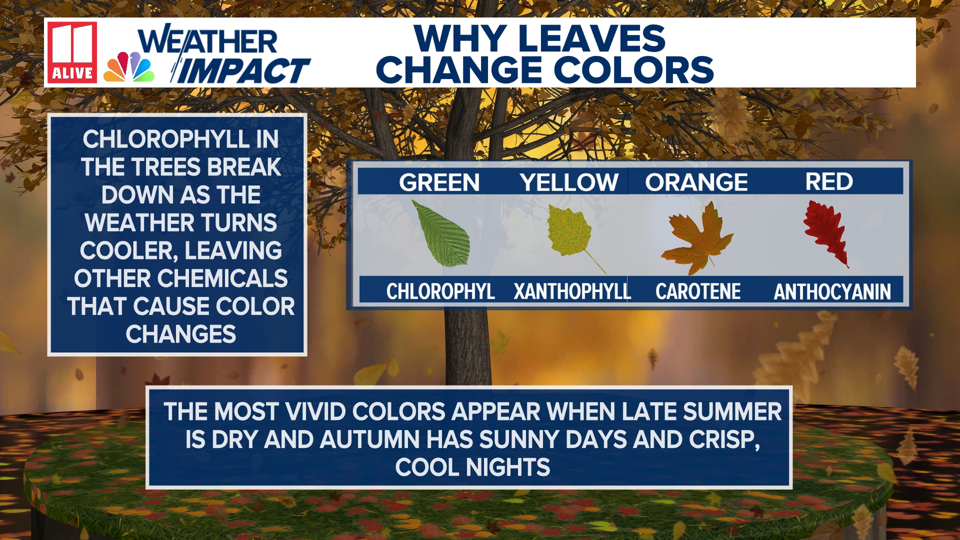 Here's when leaves change in north Georgia | 11alive.com