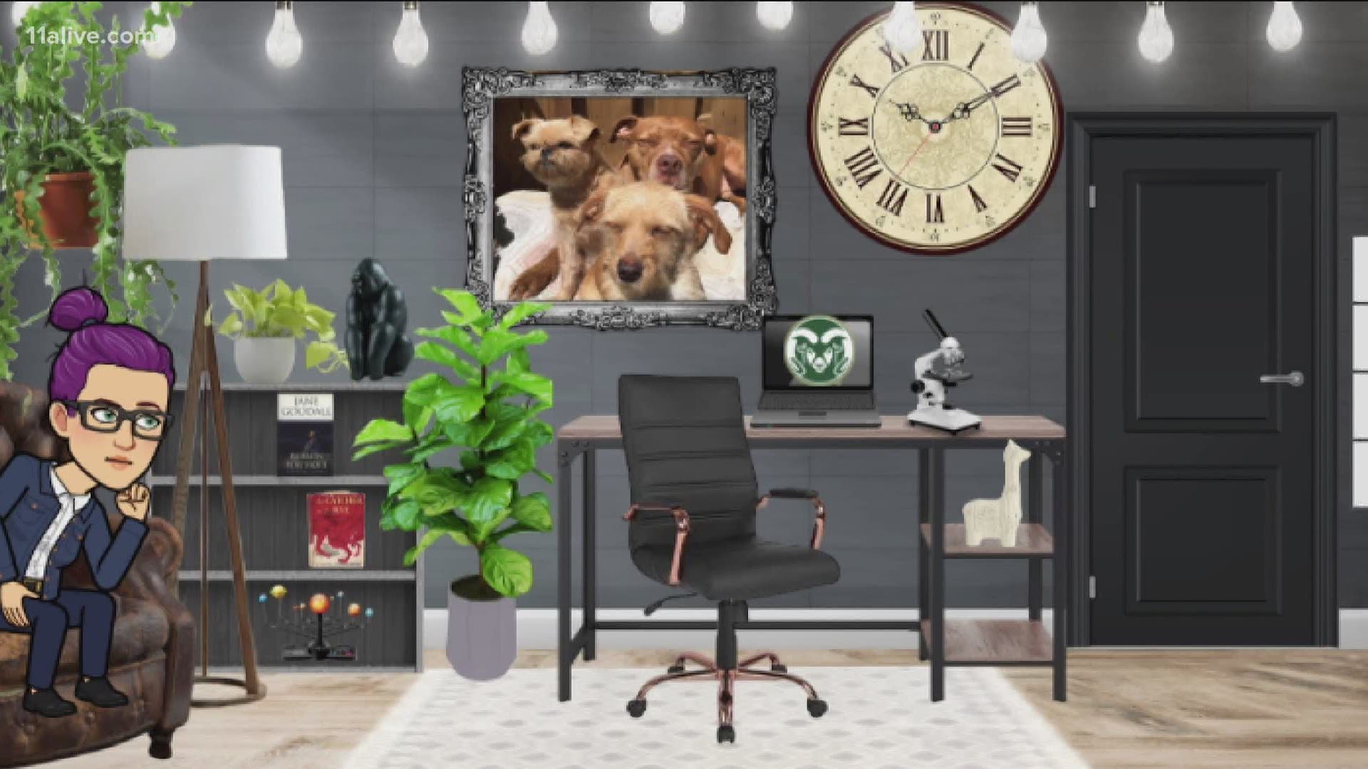 Teachers use avatars to create digital classrooms | 11alive.com