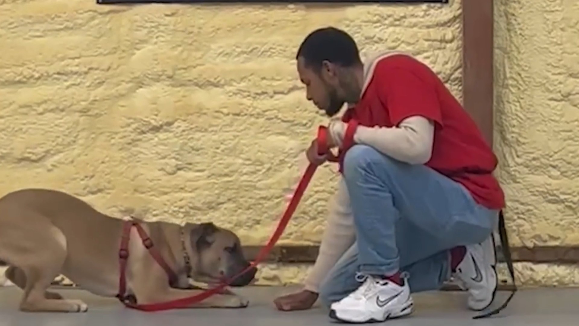 Donation from movie star, Kate Mara helps Canine CellMates | 11alive.com