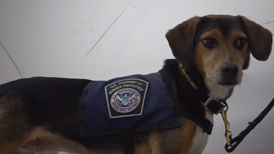 US Customs offers tips for international travel Atlanta airport ...