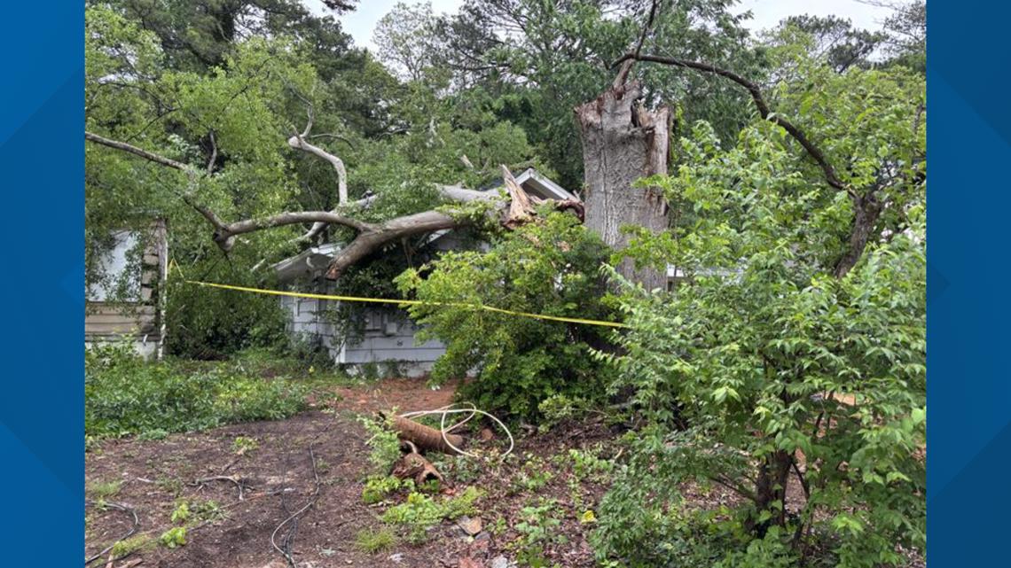 Jimmy, Rosalynn Carter's burial site photos released | 11alive.com