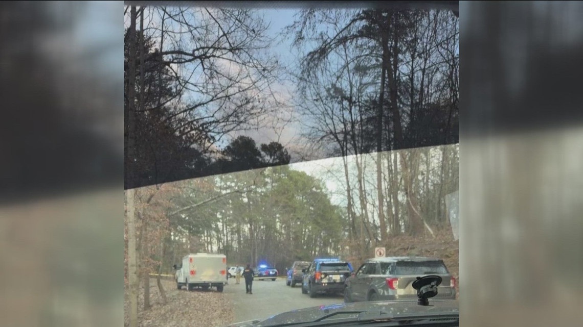 Dog fight at park on Lake Lanier turns deadly as one owner shoots ...