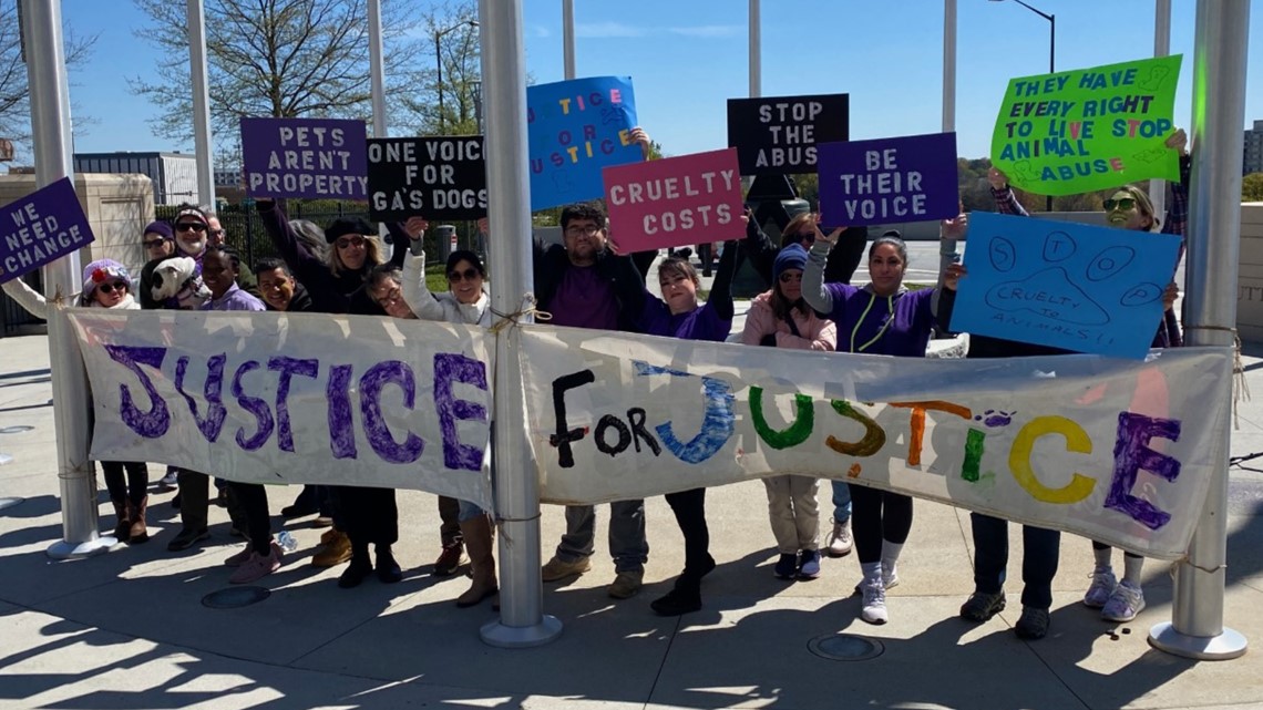 Viral video of dog beating sparks rally against animal abuse | 11alive.com