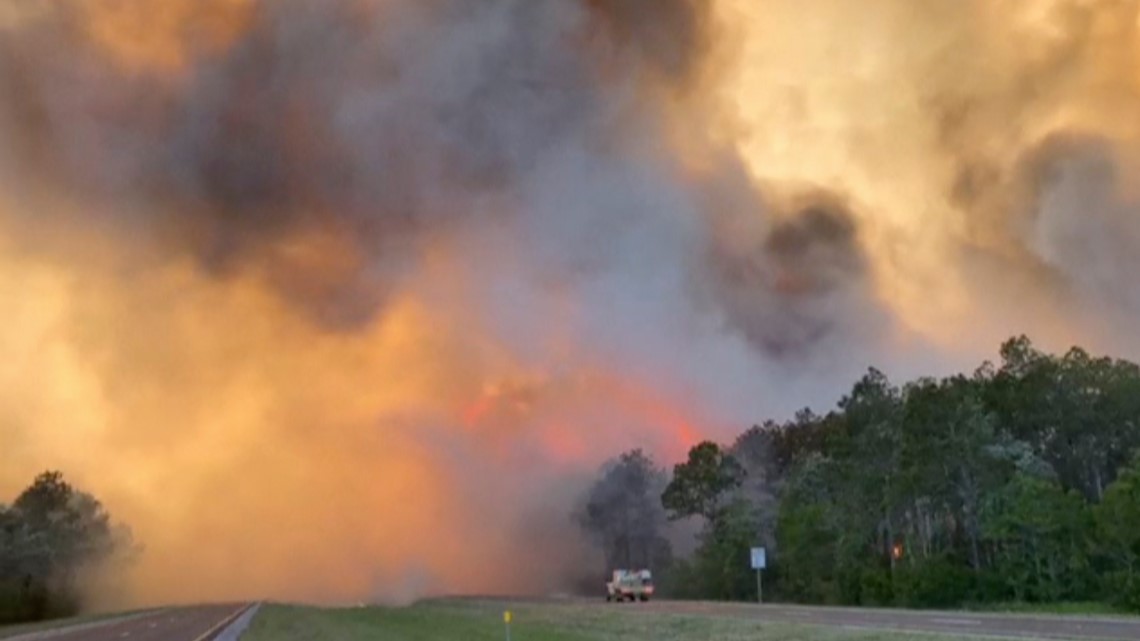 Naples Florida wildfire destroys 7 homes, 23 structures | 11alive.com