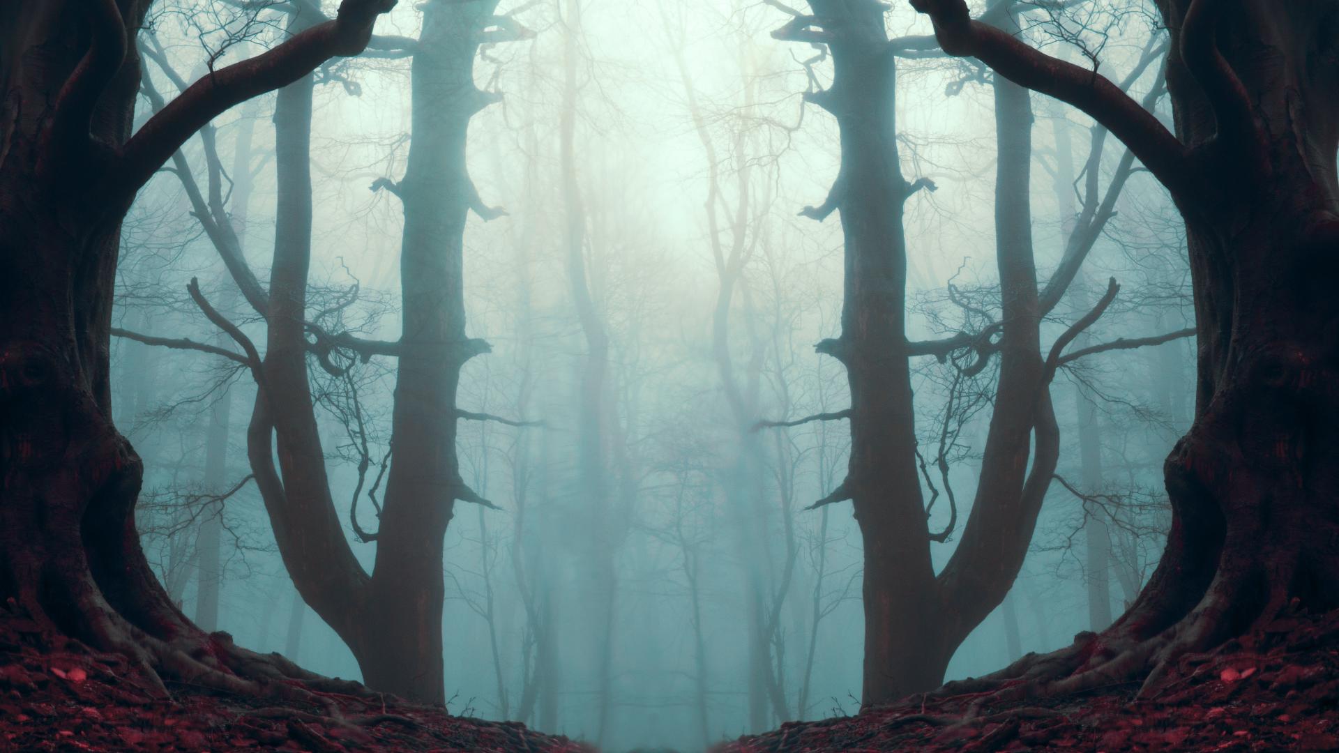 Experience Thrills at Atlanta's Top Haunted Attractions | 11alive.com