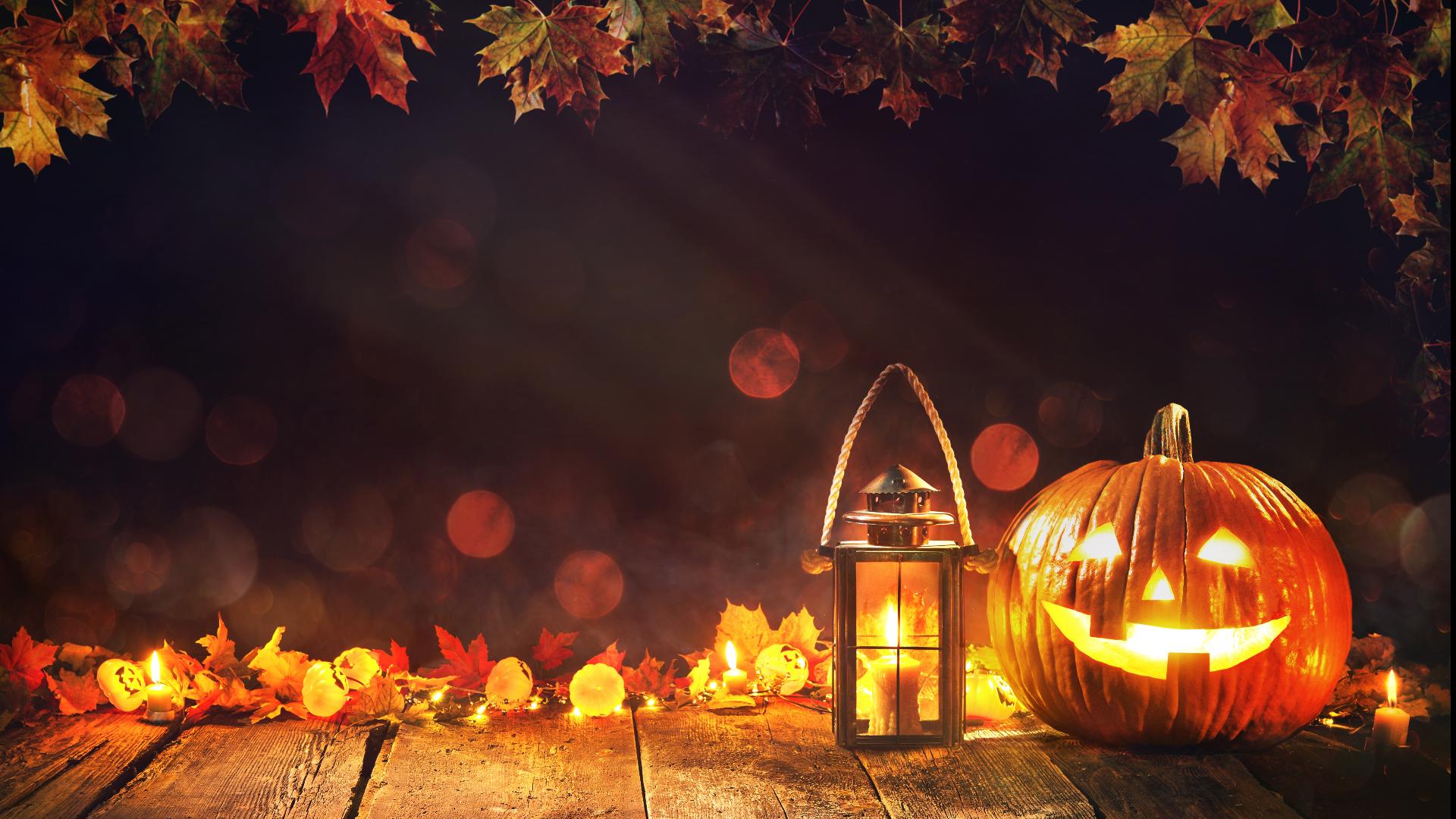 LIST | 11 things to do in Atlanta; Nov. 1 - 3 | 11alive.com