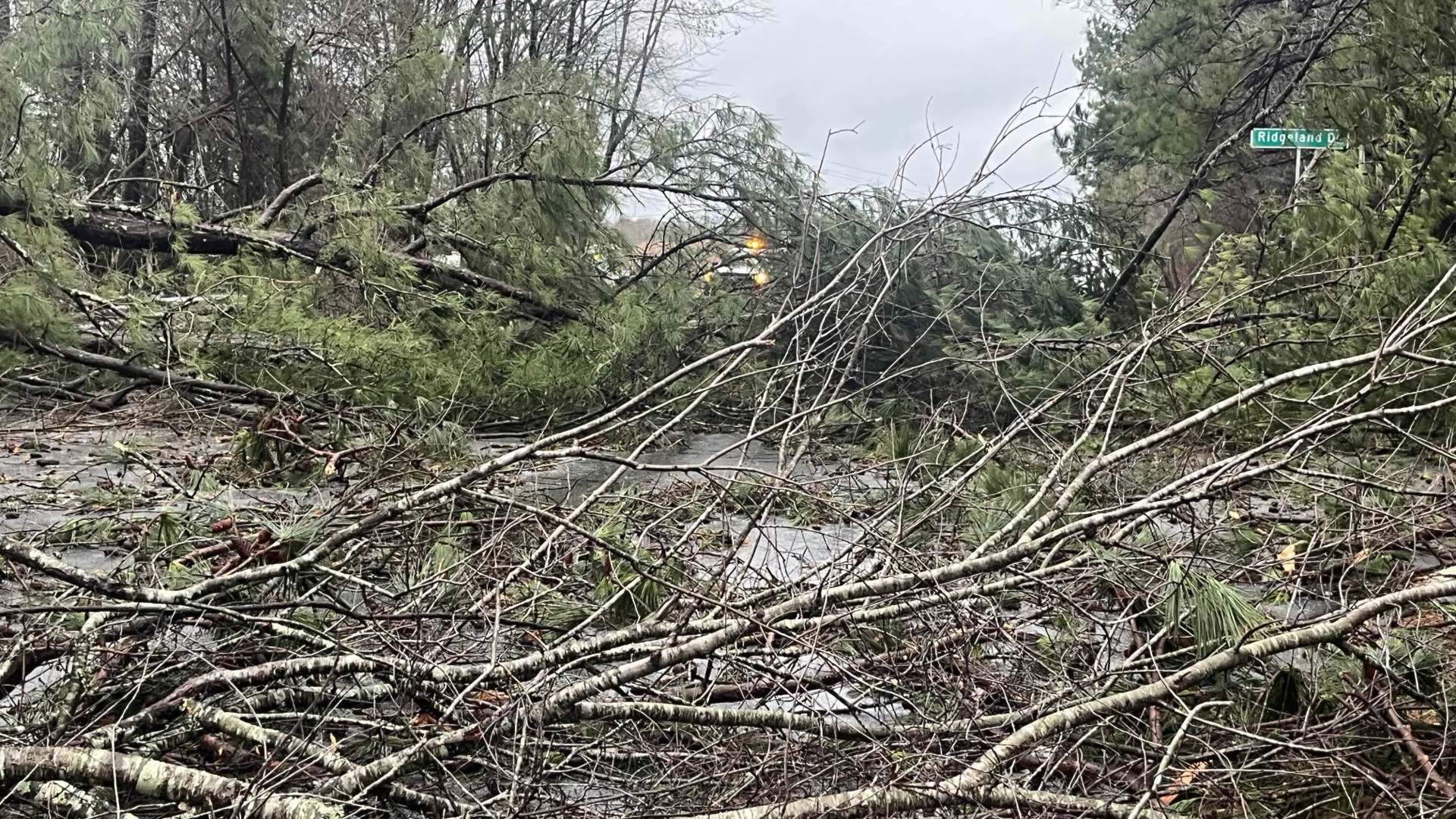 Severe weather damage in Georgia after overnight storms | 11alive.com