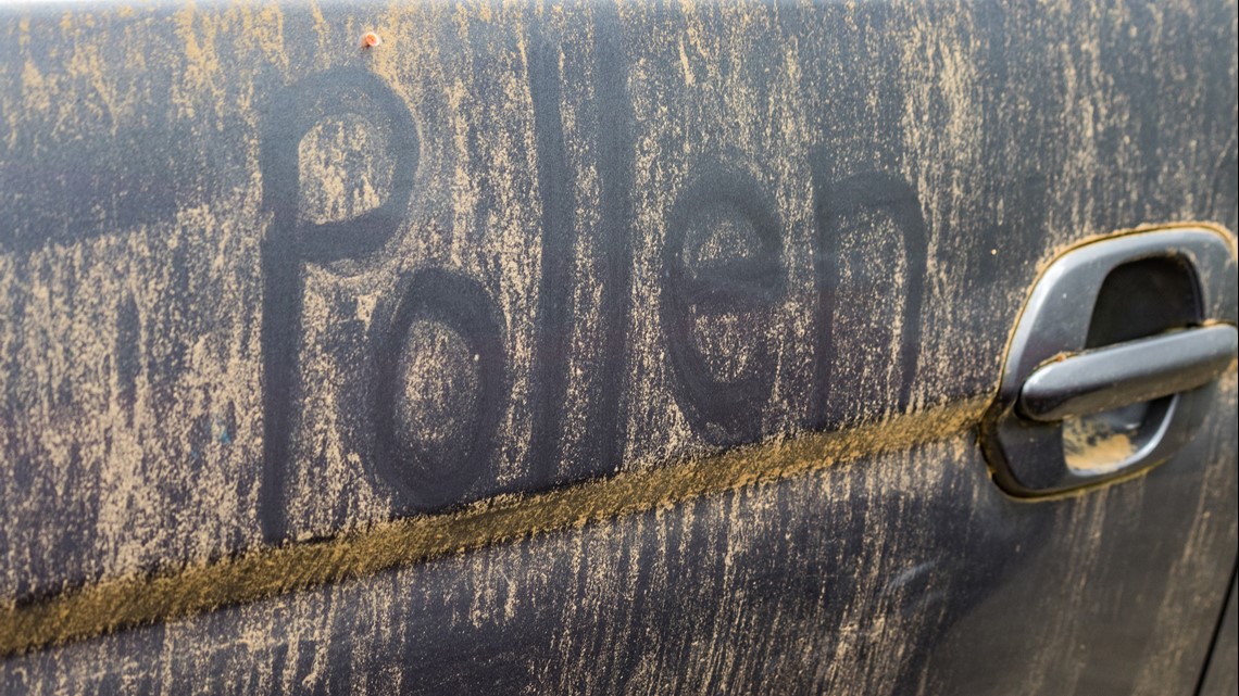 What's the pollen count in north Georgia today | Latest numbers ...