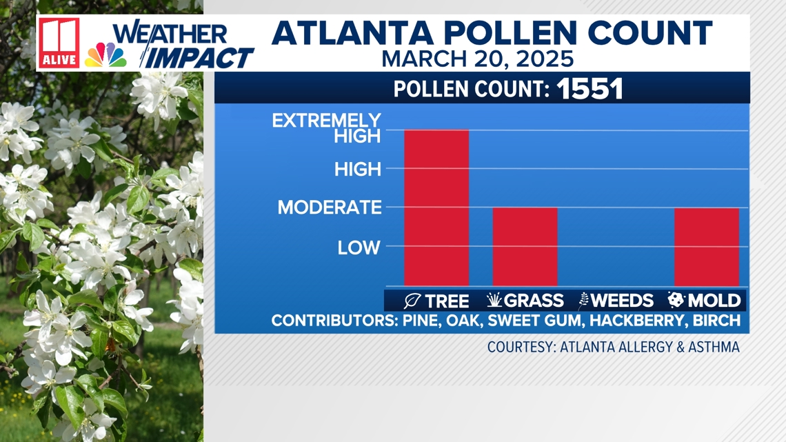 First 'extremely high' tree pollen count for Atlanta this season ...