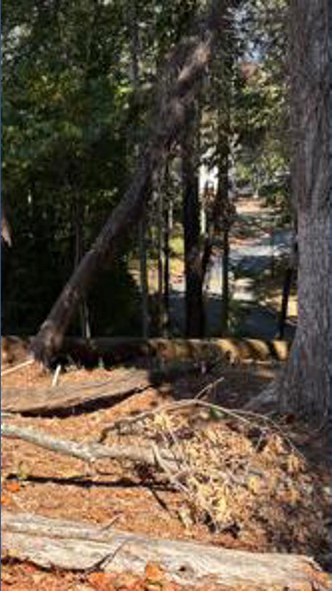 Buckhead's Piney Grove Cemetery preservation ruling issued by judge ...