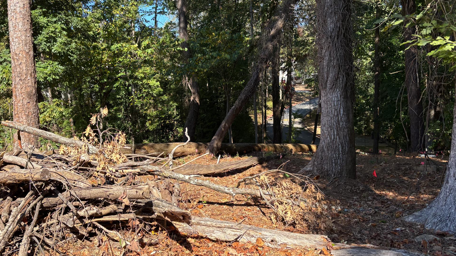 Buckhead's Piney Grove Cemetery preservation ruling issued by judge ...