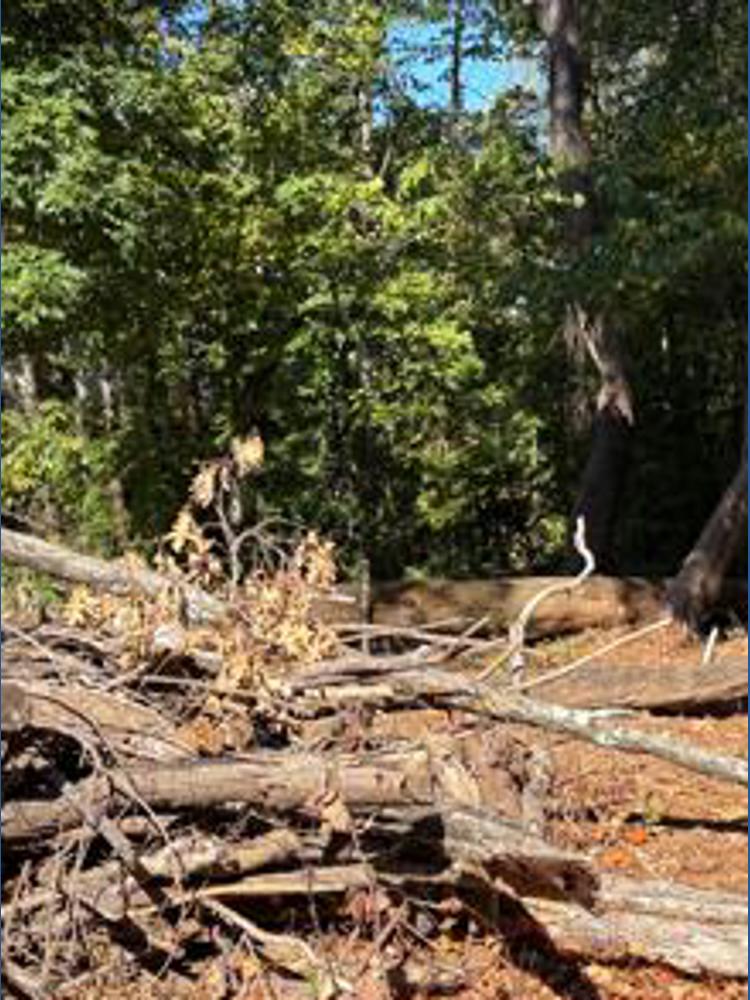 Buckhead's Piney Grove Cemetery preservation ruling issued by judge ...