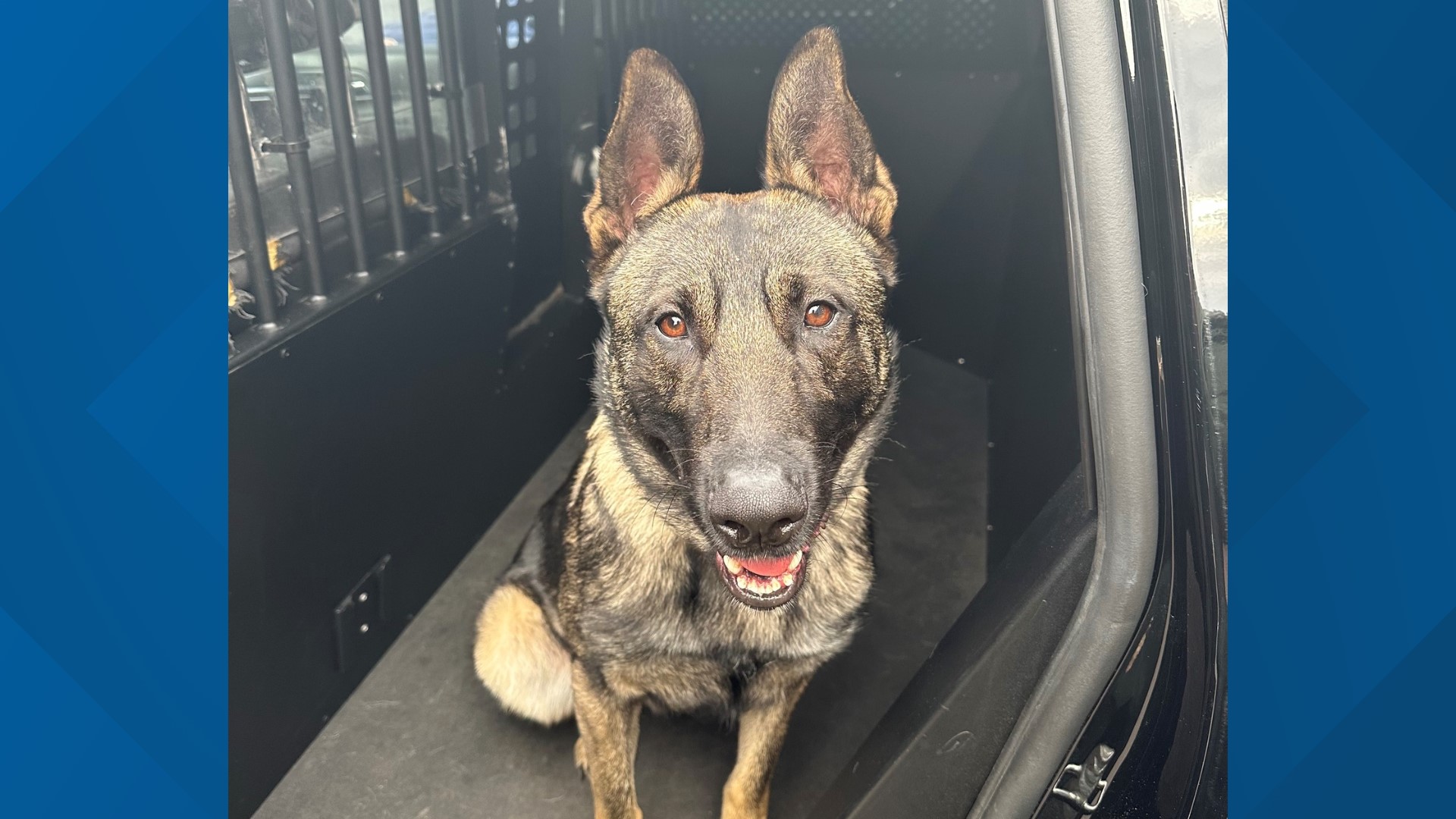 Kennesaw State University Police welcomes K-9 officer Joker | 11alive.com