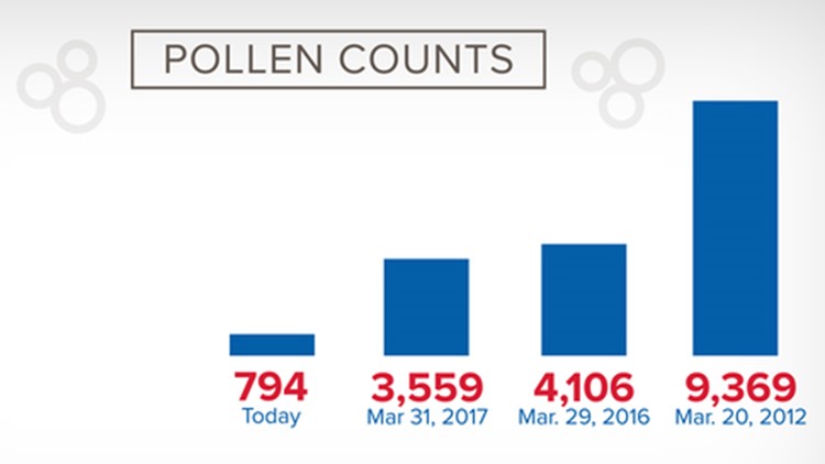 Allergy season has arrived | Pollen will soon paint Georgia yellow ...