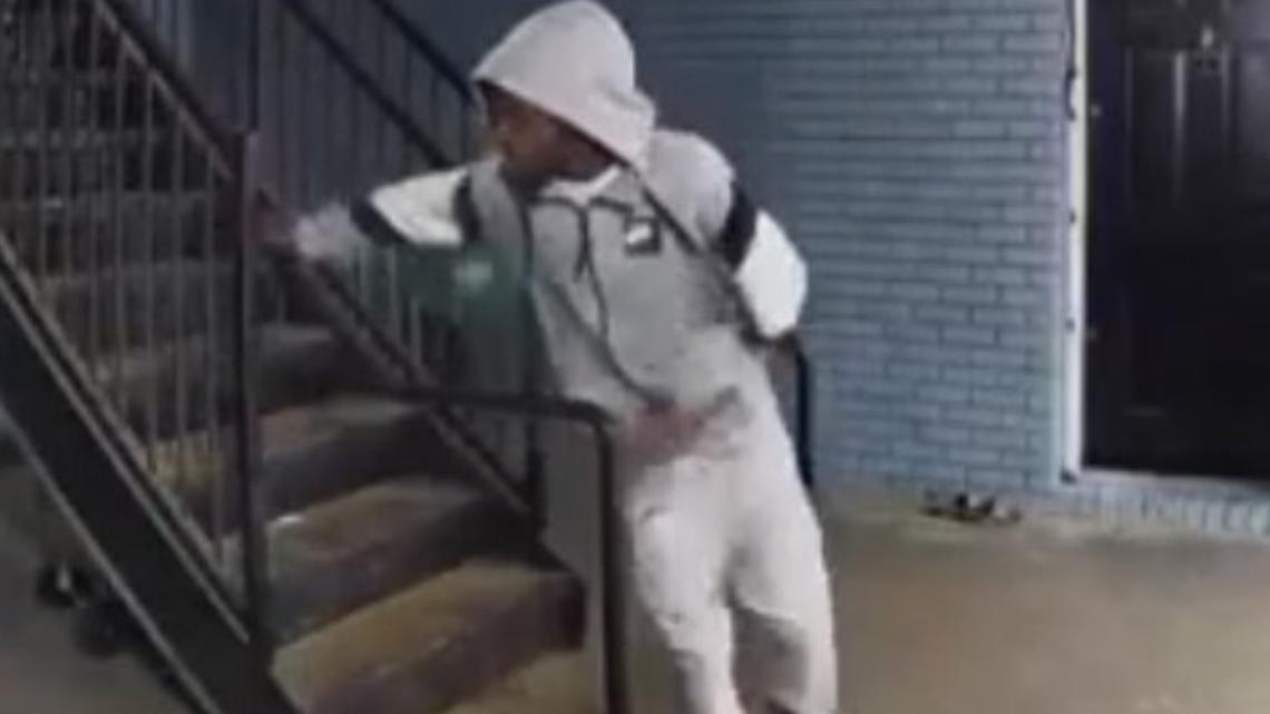 Police look for man accused of abusing dog in DeKalb County | 11alive.com