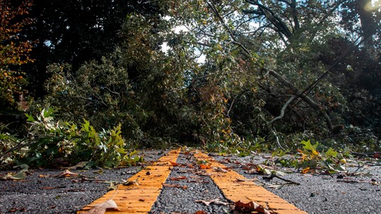 Tracking reports of power outages, damage after morning storms in metro ...