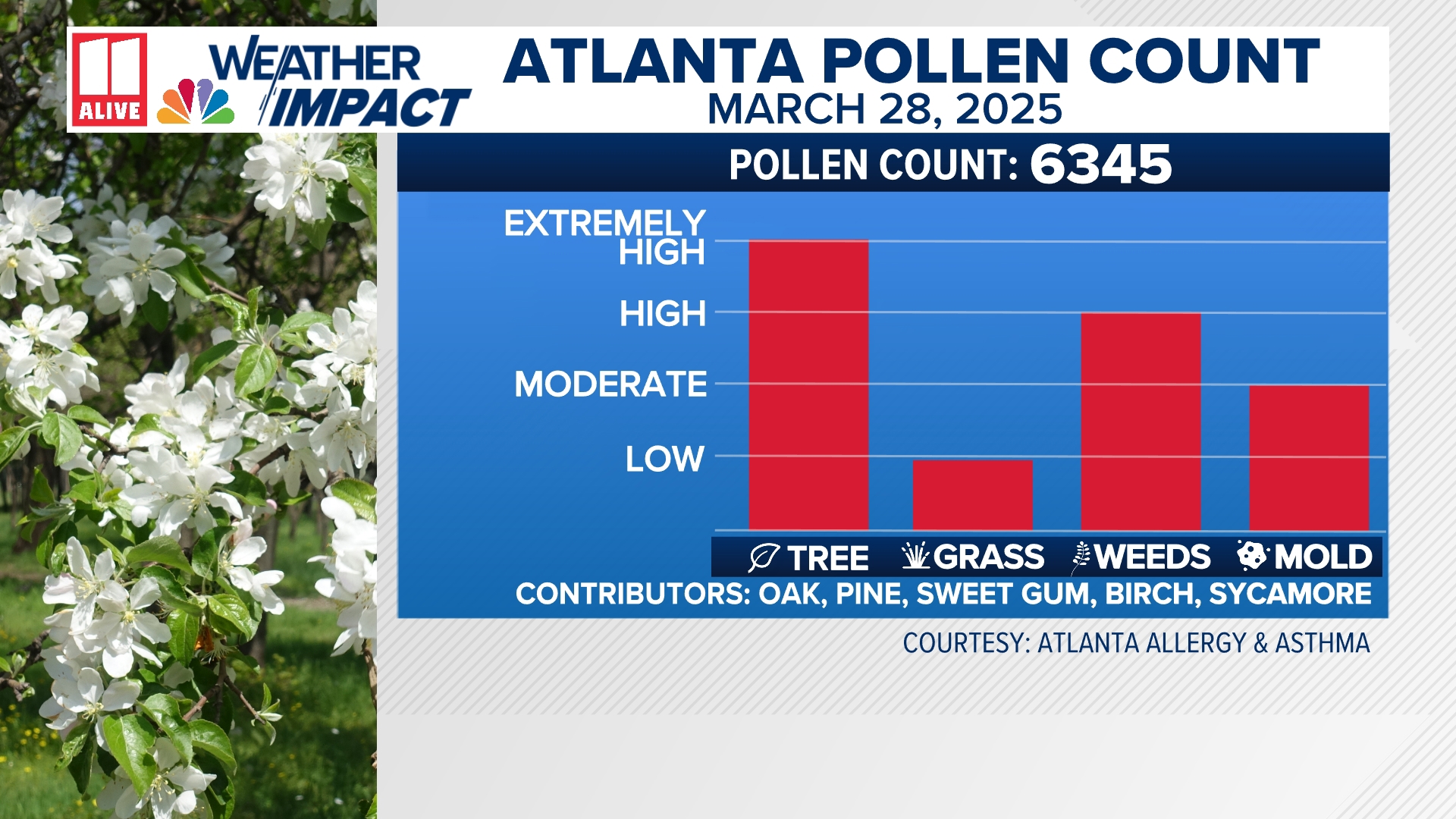 Atlanta pollen count hits 6,345 amid allergy season | 11alive.com