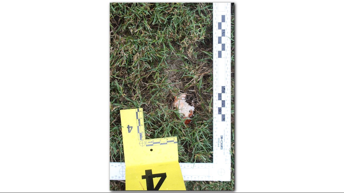 Inside the case file of the Tamla Horsford death investigation ...