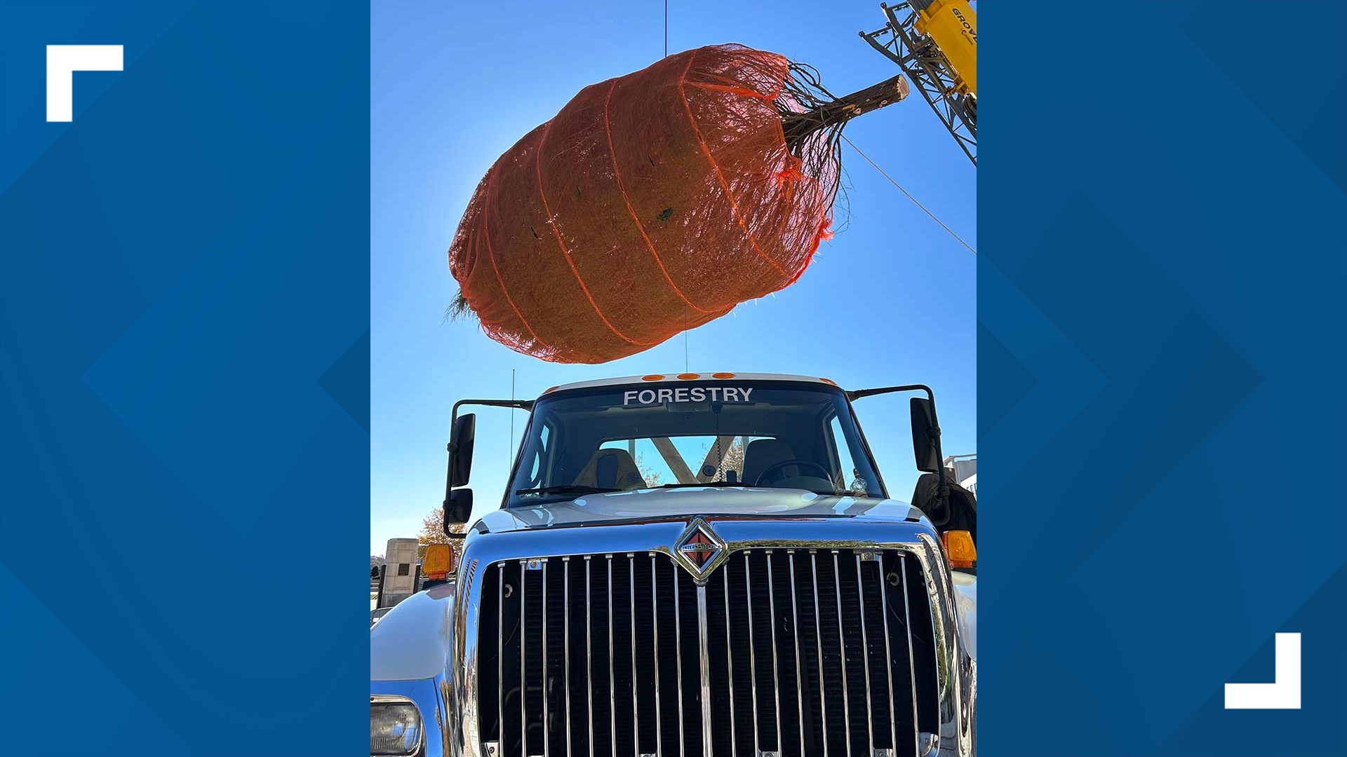 Christmas tree at Georgia State Capitol | 11alive.com