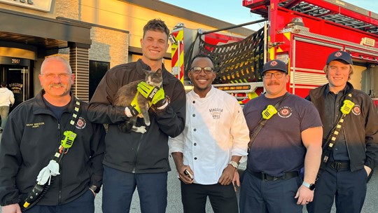 Kitty saved from car engine: Cobb Co. fire | Photos | 11alive.com