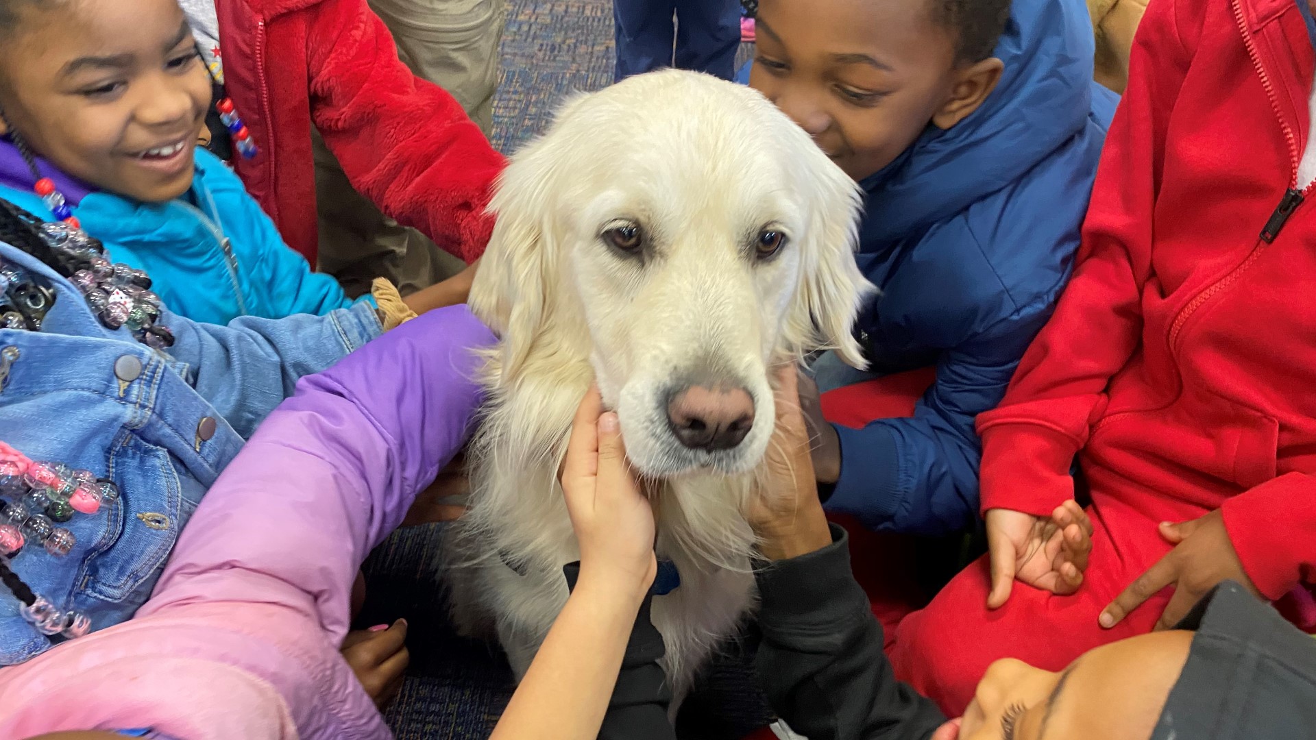 Therapy dogs visit Spalding Co. schools | Photos | 11alive.com