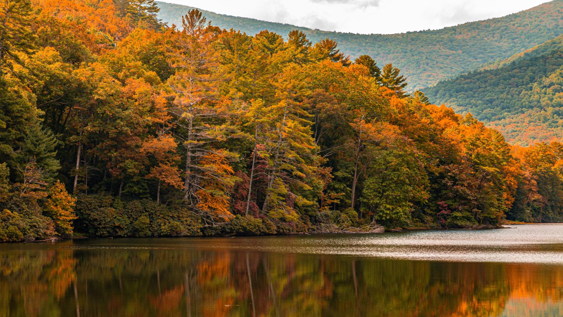 Atlanta Weather | 11alive.com