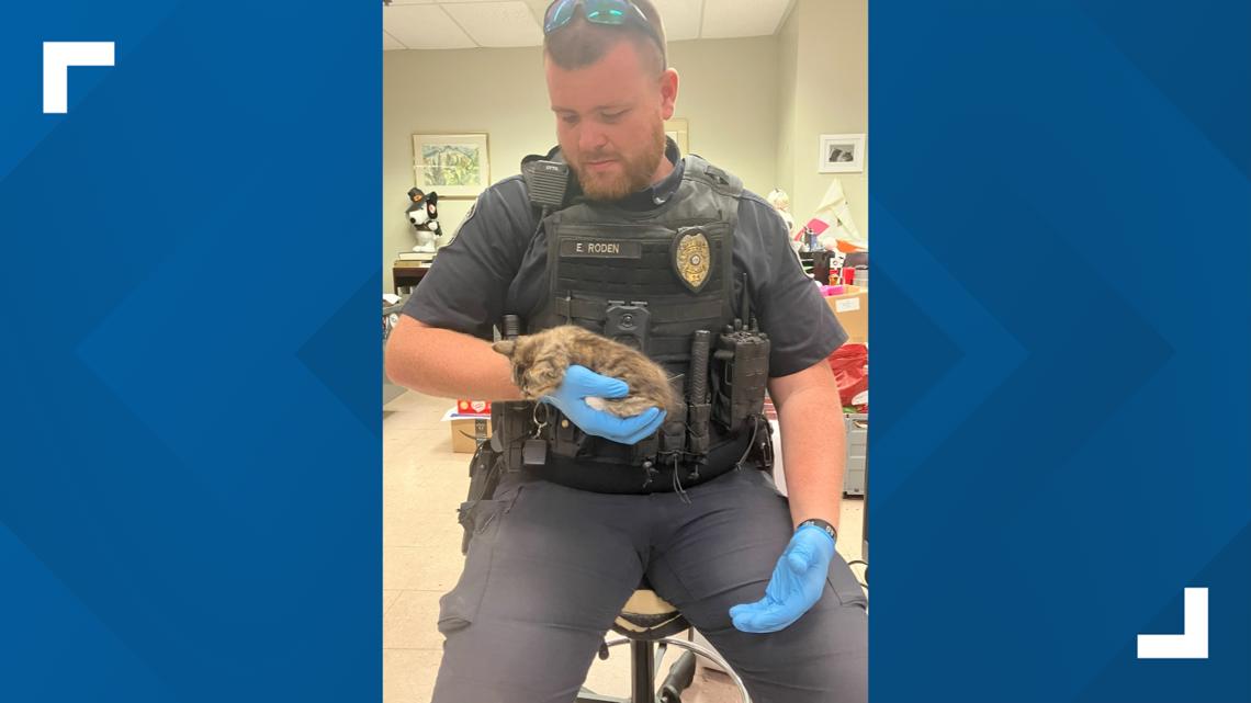 Rome Georgia police officer rescues kitten then gives it a home ...