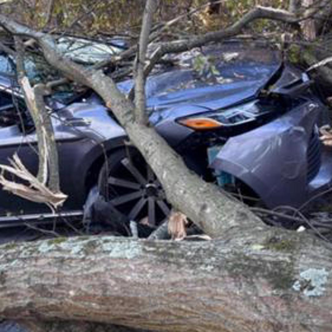 TRAFFIC: Fallen tree on Ponce blocking all lanes | 11alive.com